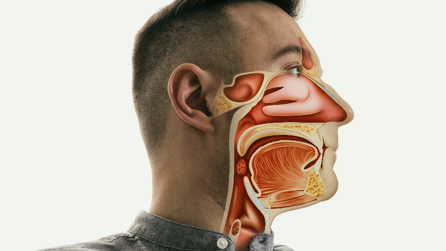 Articles | Relieve Nasal Congestion at Night: Causes, Treatments & Tips