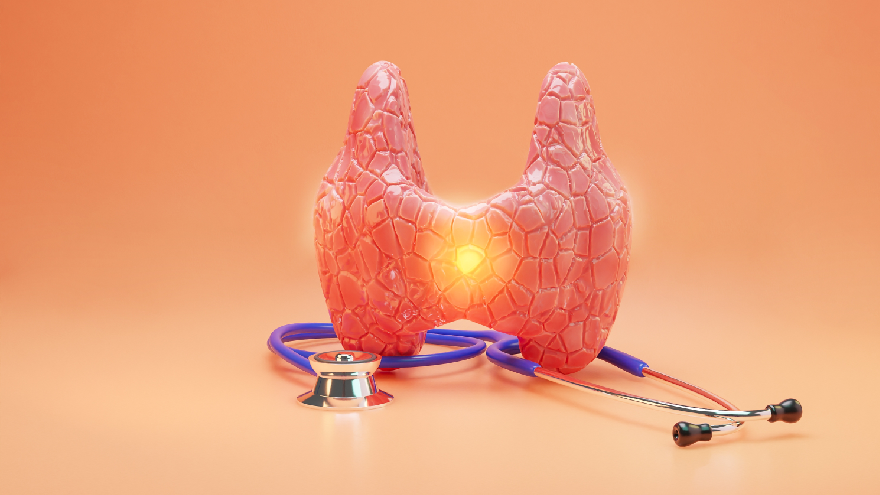 Articles | How to Spot Thyroid Problems Early – 5 Key Symptoms