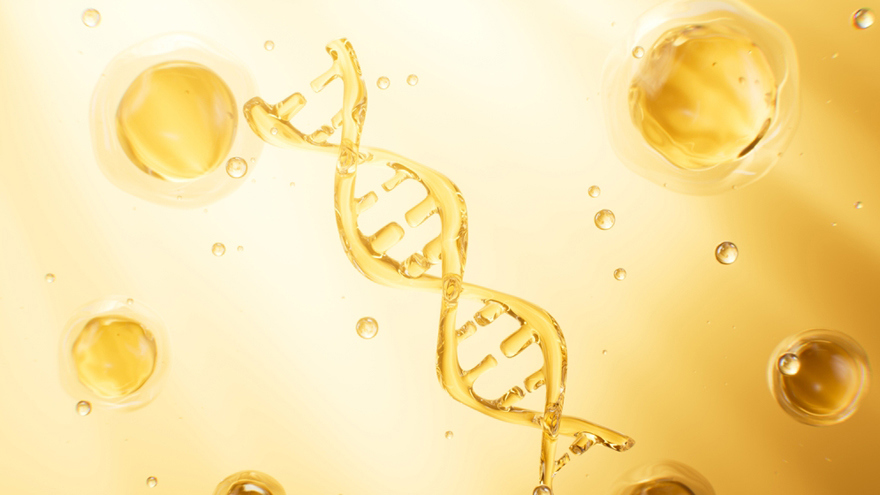 Articles | Understanding the Benefits of Stem Cell Skin Rejuvenation