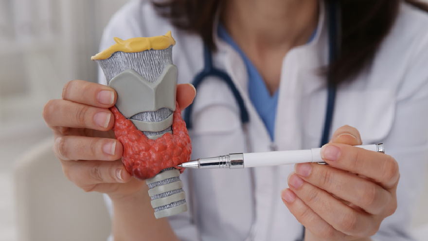 Articles | Tonsil Health and Tonsillectomy: Expert Insights for Parents