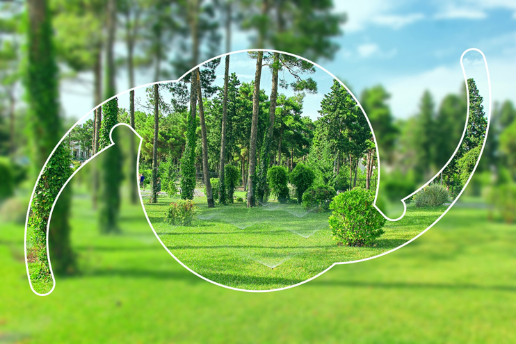 Articles | Multifocal Lenses After Cataract Surgery: Benefits ...