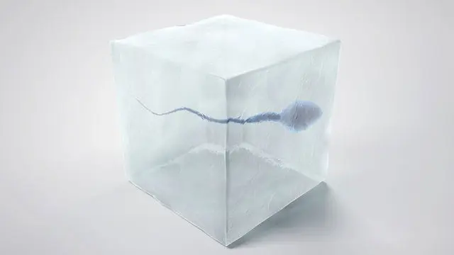 Embryo Storage Services