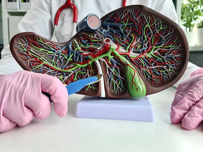 Cirugía del hígado, páncreas y tracto biliar