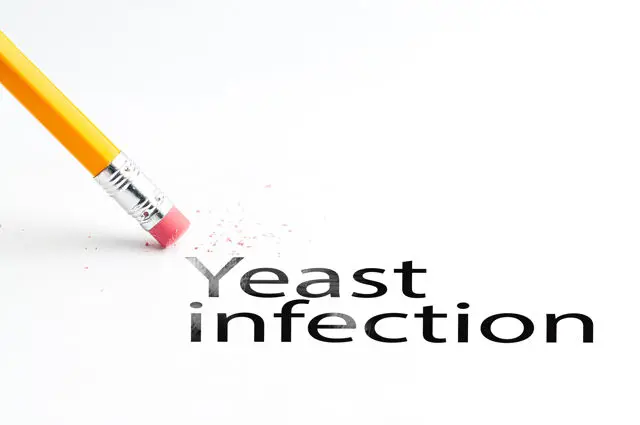 Infection à levures( candidoses) - Tout ce que vous devez savoir