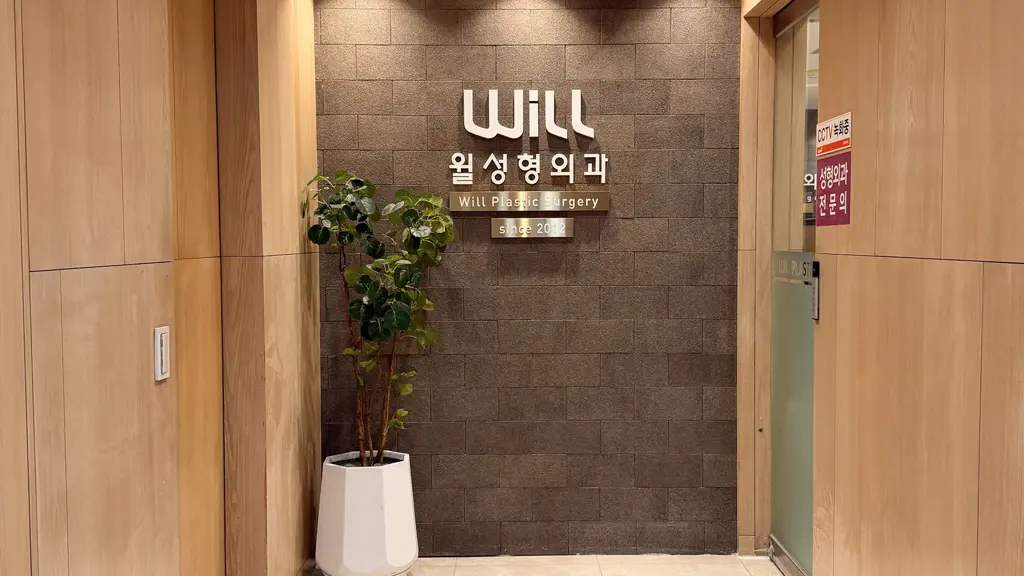 Will Plastic Surgery Clinic - Plastic Surgery Seoul