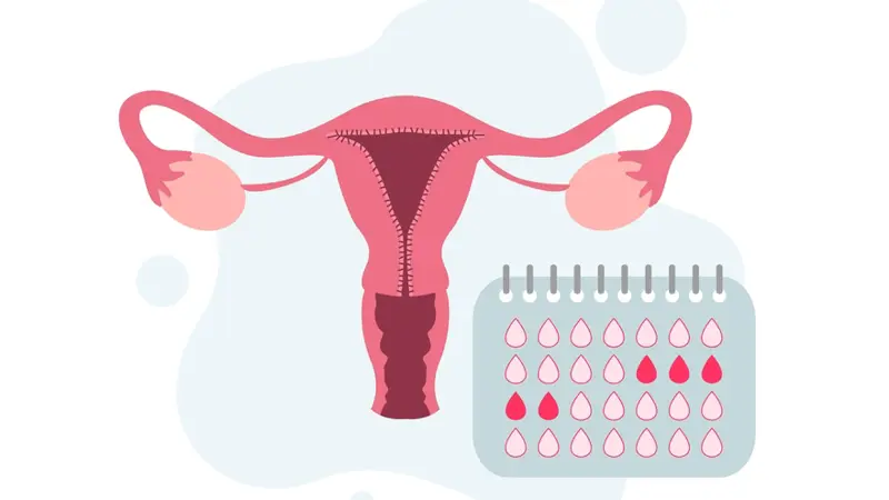 Understanding Amenorrhea: Causes, Types, and Treatment Options