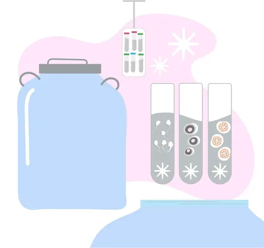 Embryo Storage Extension Services