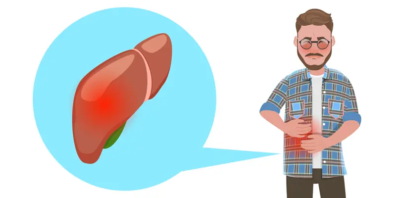 Orthotopic Liver Transplantation (OLT) Surgery