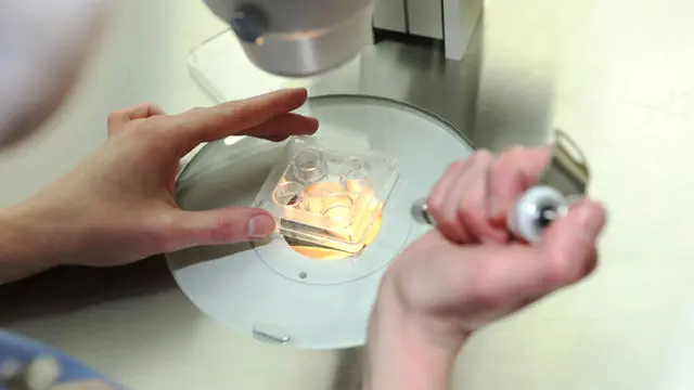 Embryo Storage Services