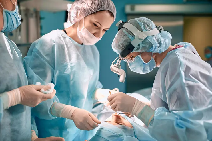 Formes du nez dans différentes races