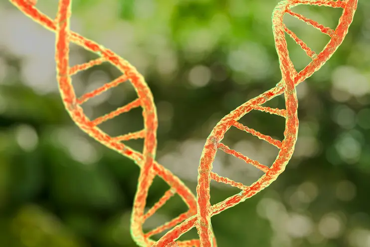 NF2 (Neurofibromatosis Type 2) Treatment