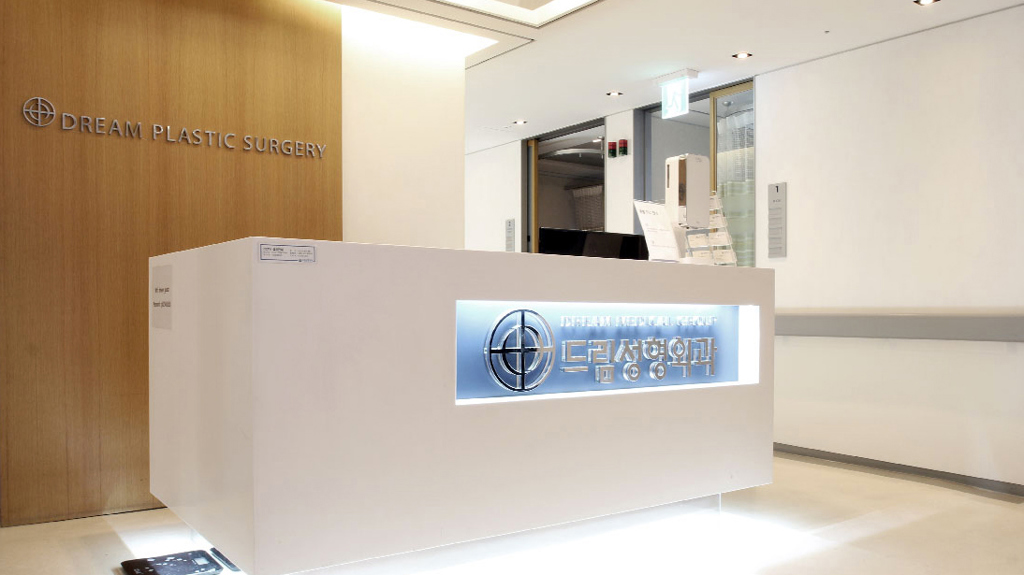 Dream Plastic Surgery