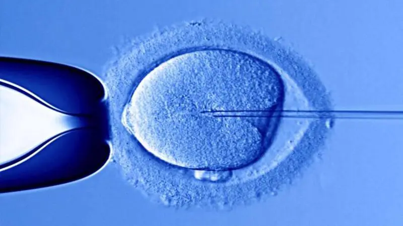 Laser-Assisted Hatching for IVF Embryos