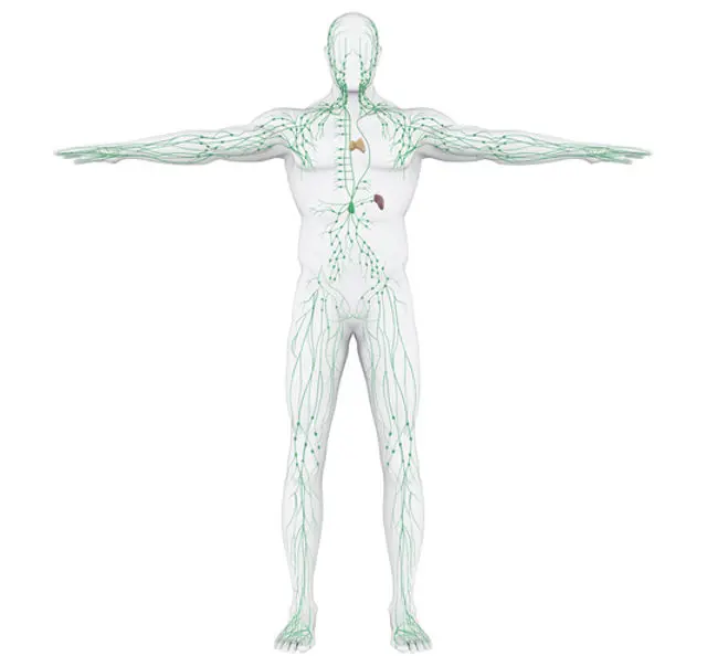 Lymphostasis Diagnosis and Treatment