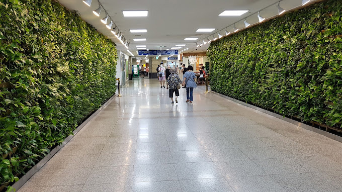 โรงพยาบาลเมียงจี | Deogyang-gu, Goyang-si, Gyeonggi-do