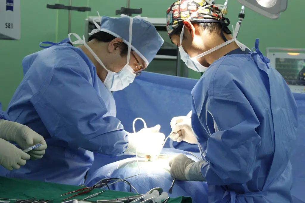 Nanoori Hospital, Gangnam | Gangnam District, Seoul