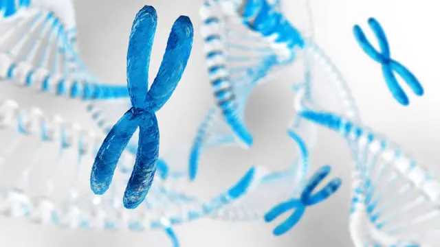 Chromosomal Abnormality Diagnosis and Care