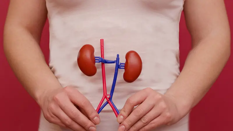 Anuria: A Complete Guide to Causes, Symptoms, and Treatment Options