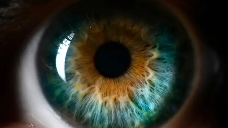 Understanding Color Blindness: Symptoms, Causes, and Solutions