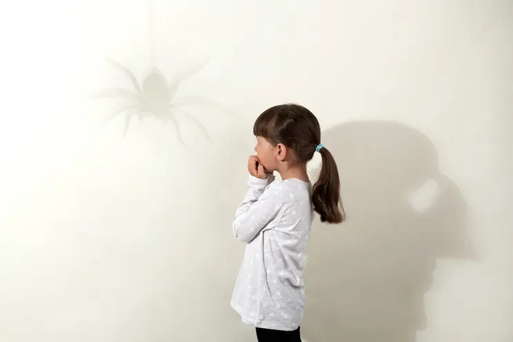 Spider Bites: What You Need to Know and When to Seek Treatment