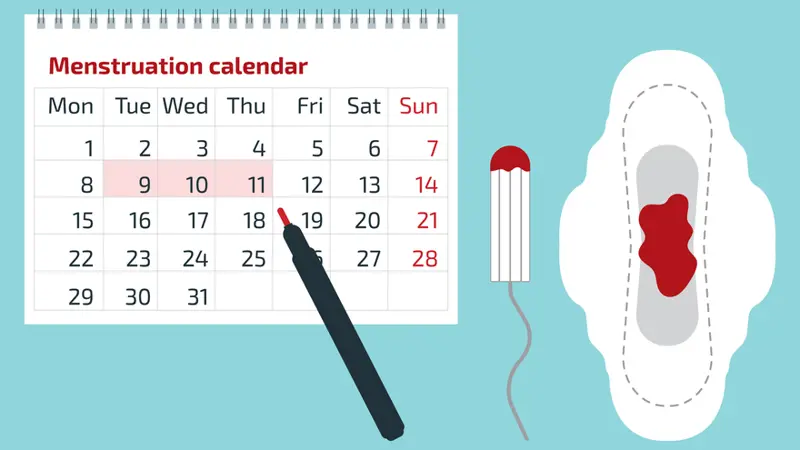 Understanding Amenorrhea: Causes, Types, and Treatment Options