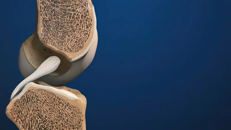 Bone and Cartilage Grafting Surgery