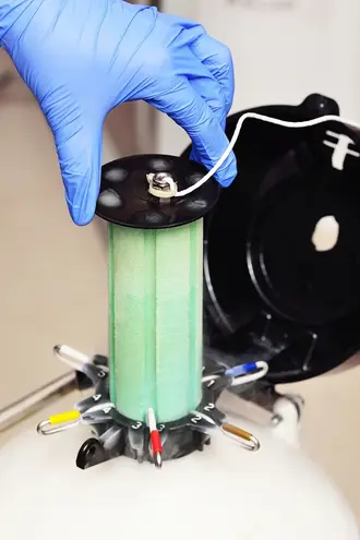 Embryo Storage Extension Services