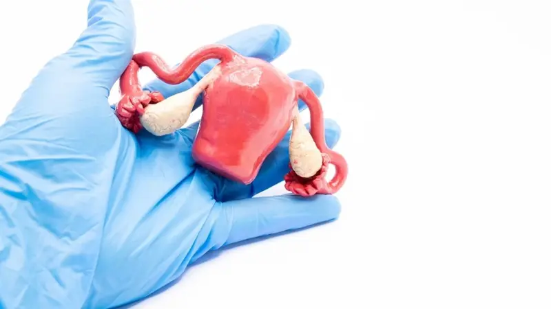 Adenomyosis Explained Symptoms Causes And Treatment Options 9049