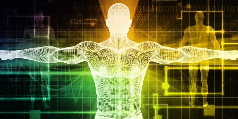 Pectoral Implants
