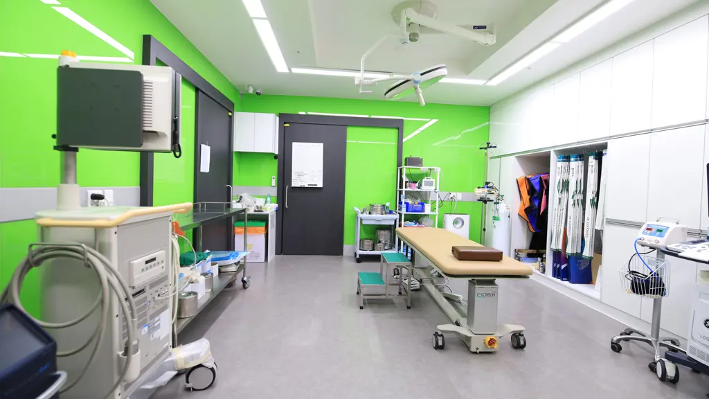 Charm Vascular Clinic | Vein Treatment in Korea