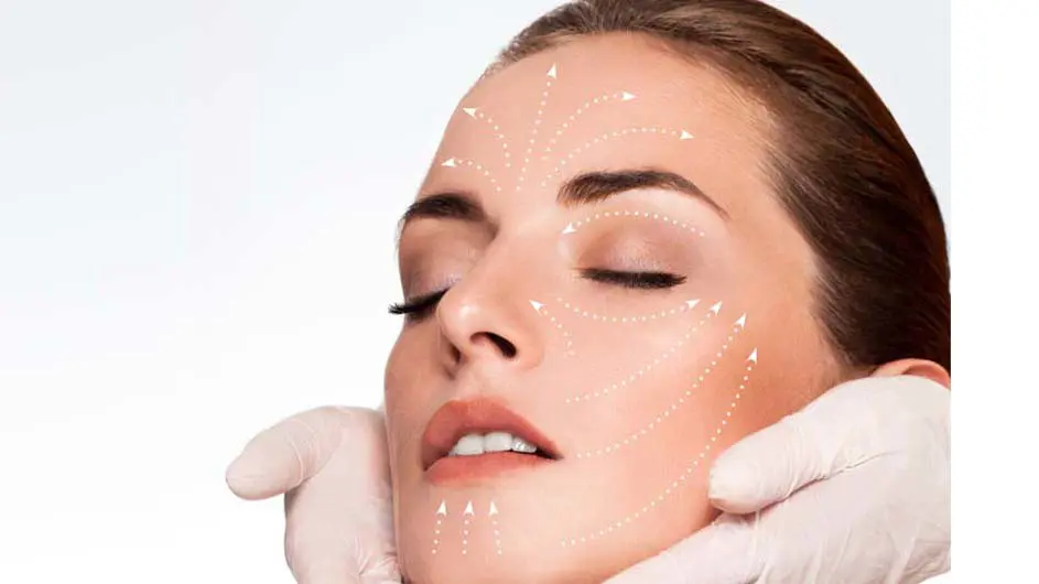 Dr halley stott | Johannesburg, Gauteng