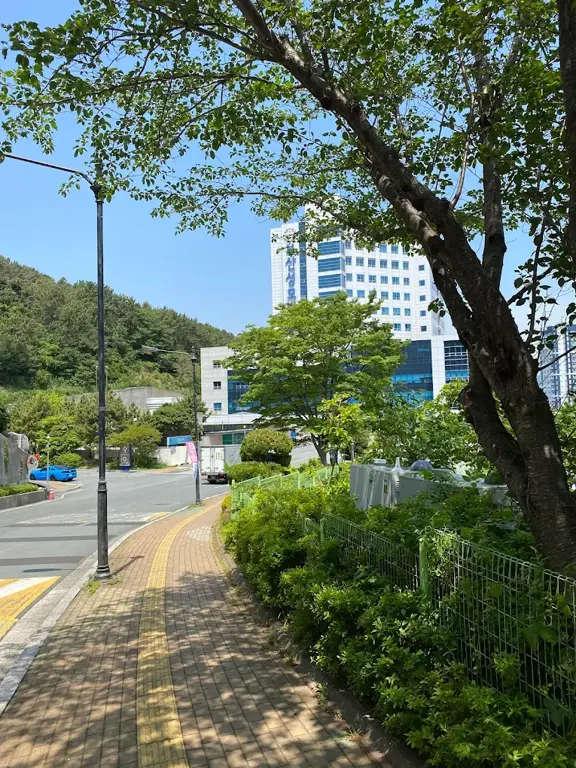 Busan St.Mary's Hospital | Nam-gu, Busan
